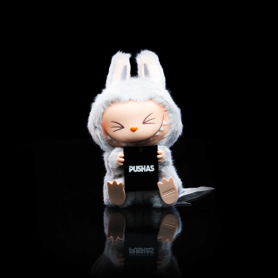 Buy Authentic LABUBU The Monsters — Blind Boxes & Plush Dolls | PUSHAS