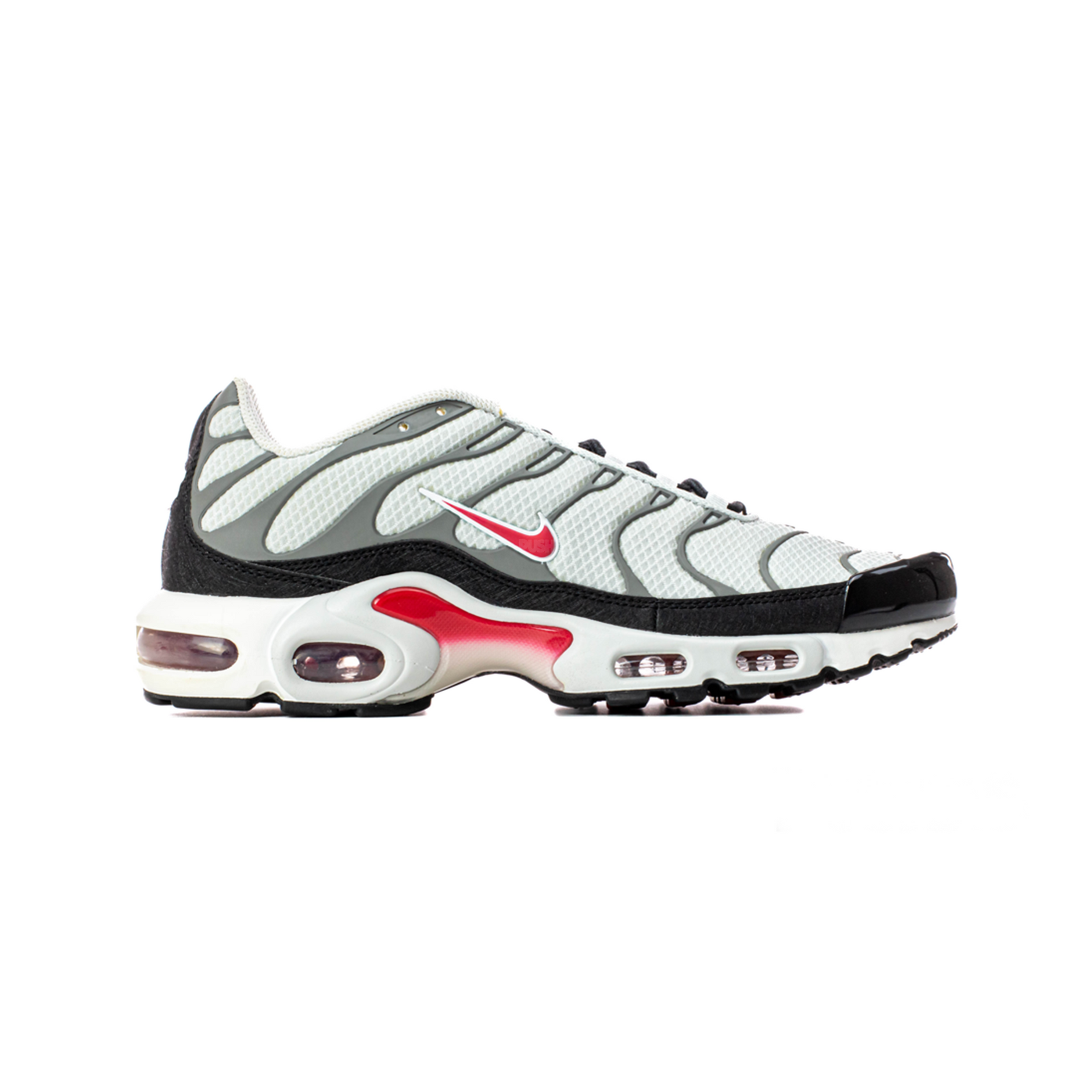 Shop Nike Air Max Plus TNs Shoes Online | PUSHAS