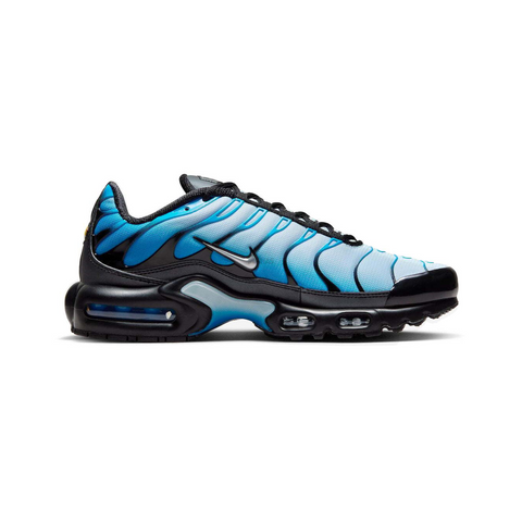 Shop Authentic Nike TNs & Air Max Plus Online | PUSHAS