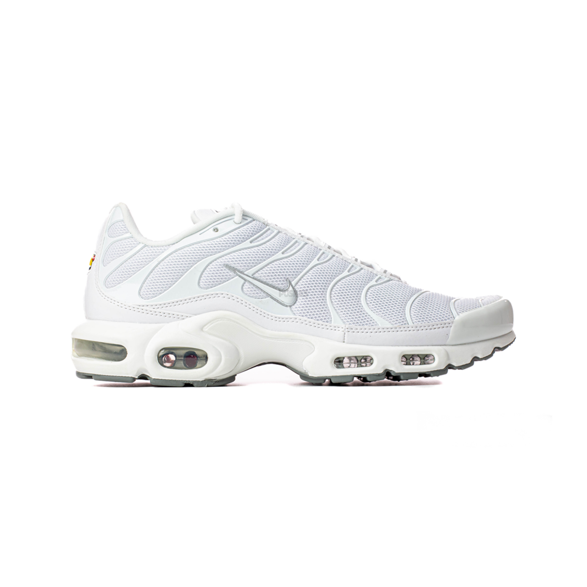 Shop Nike Air Max Plus TNs Shoes Online | PUSHAS