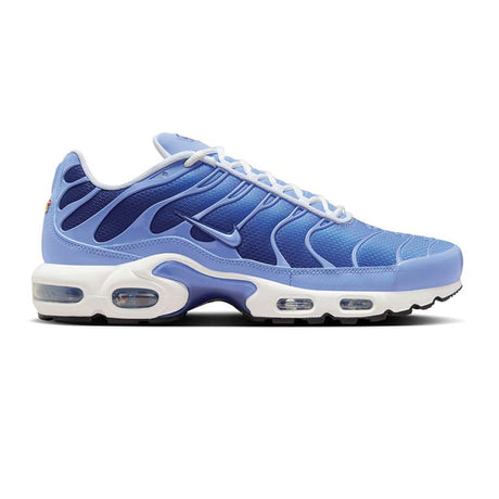Shop Nike Air Max Plus TNs Shoes Online | PUSHAS