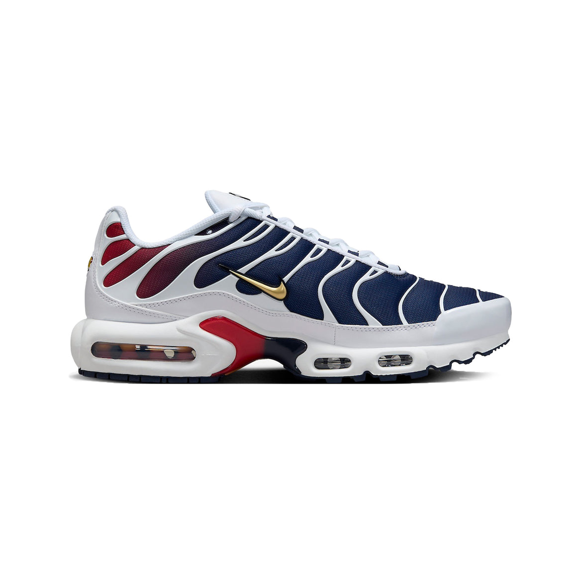 Shop Nike Air Max Plus TNs Shoes Online | PUSHAS