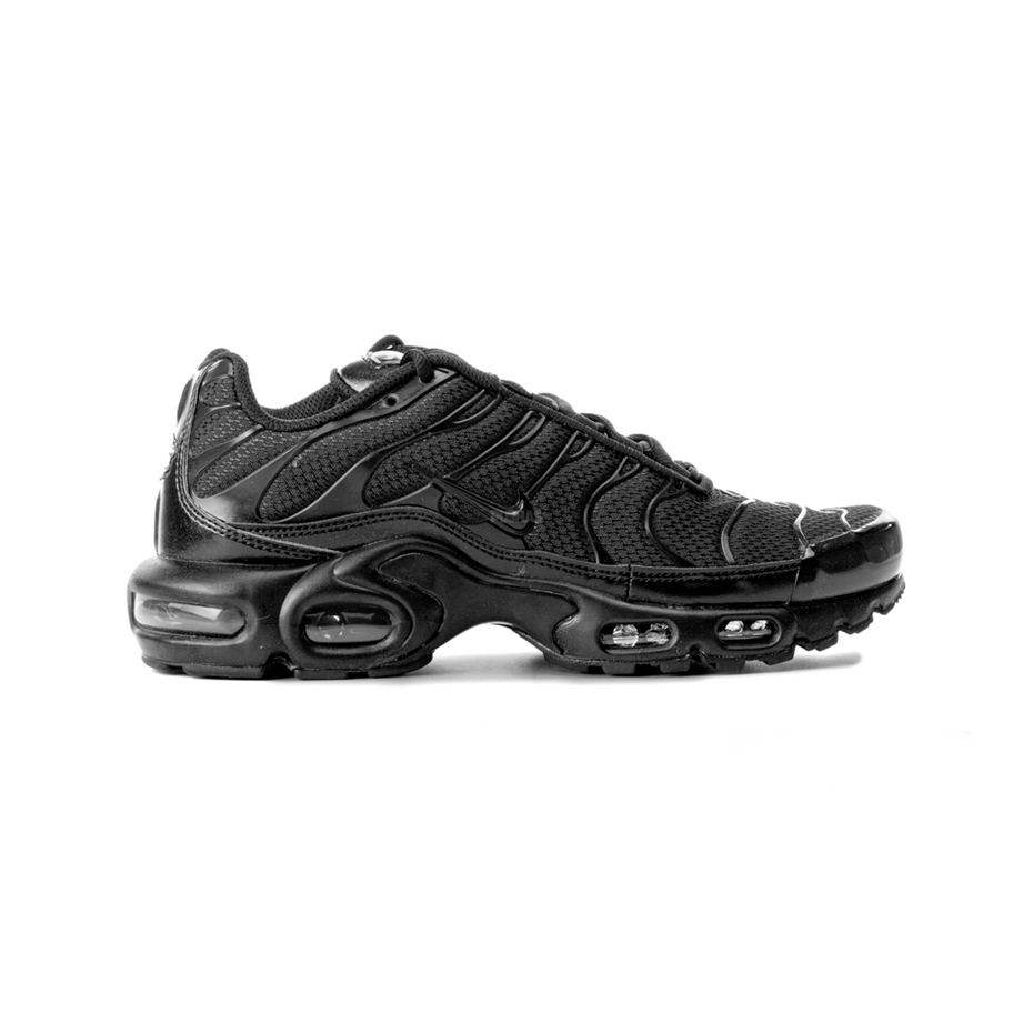 Shop Nike Air Max Plus TNs Shoes Online | PUSHAS