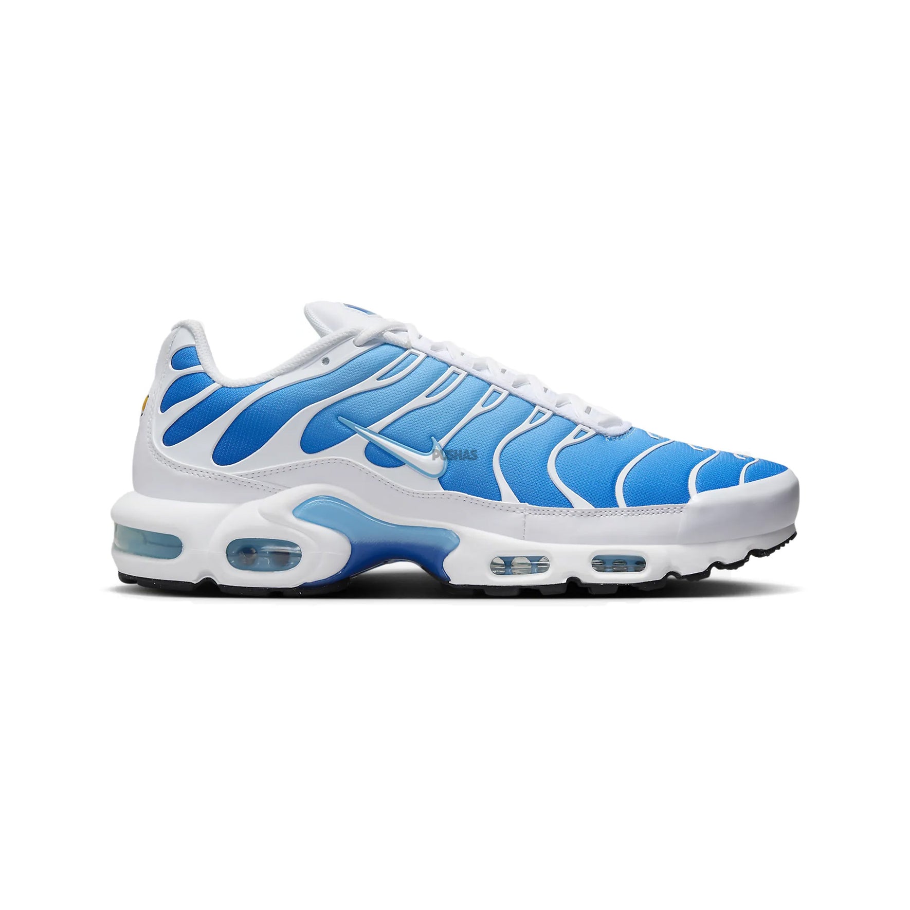 Shop Nike Air Max Plus TNs Shoes Online | PUSHAS